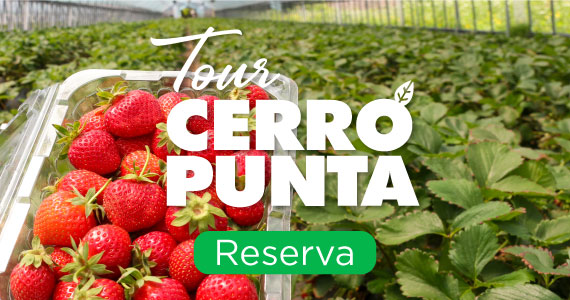Tour – Cerro Punta
