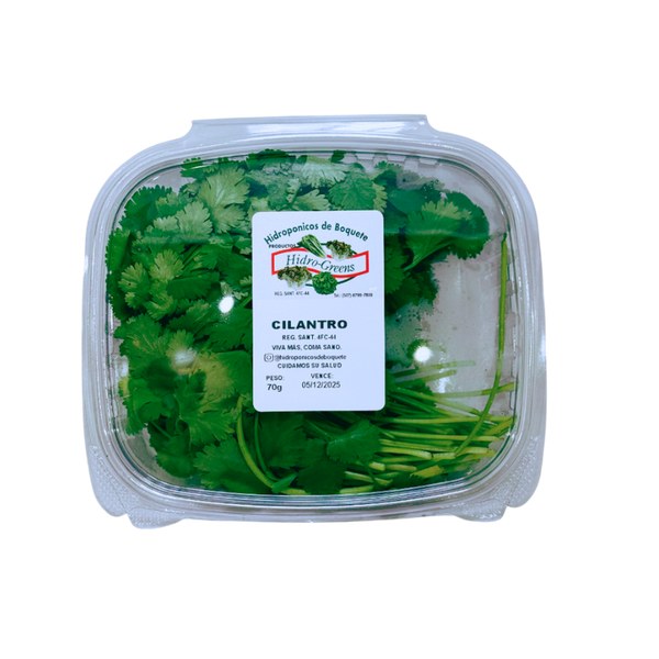 Cilantro Hidropónico ( 70g )